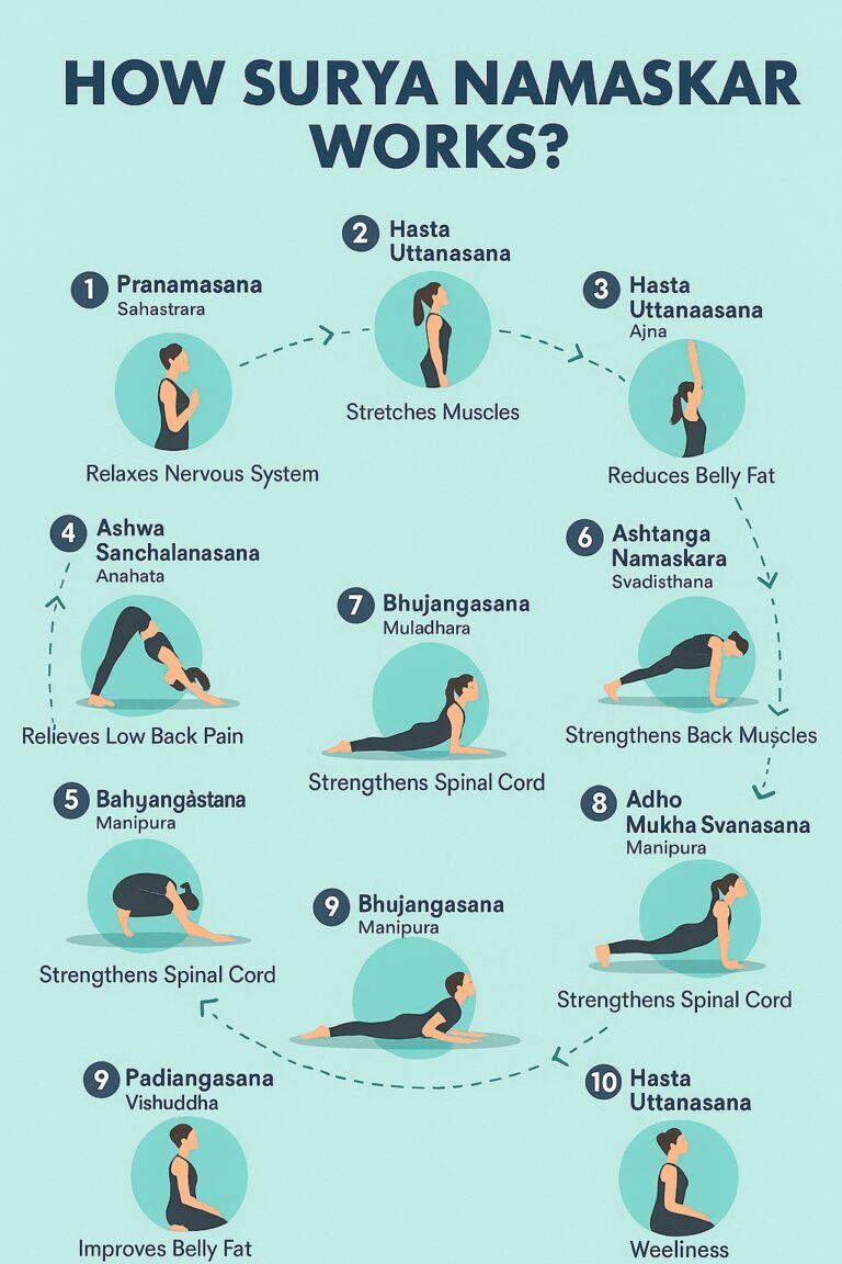 12 Poses of Surya Namaskar with Names and Benefits - India Yogashala